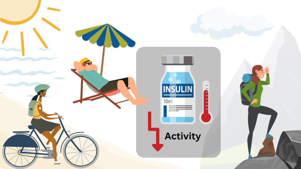 Insulin Activity Project - Diabetes Center Berne
